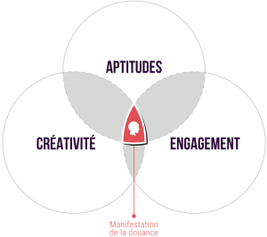 CIDDT - Douance - Évaluation douance haut potentiel montérégie